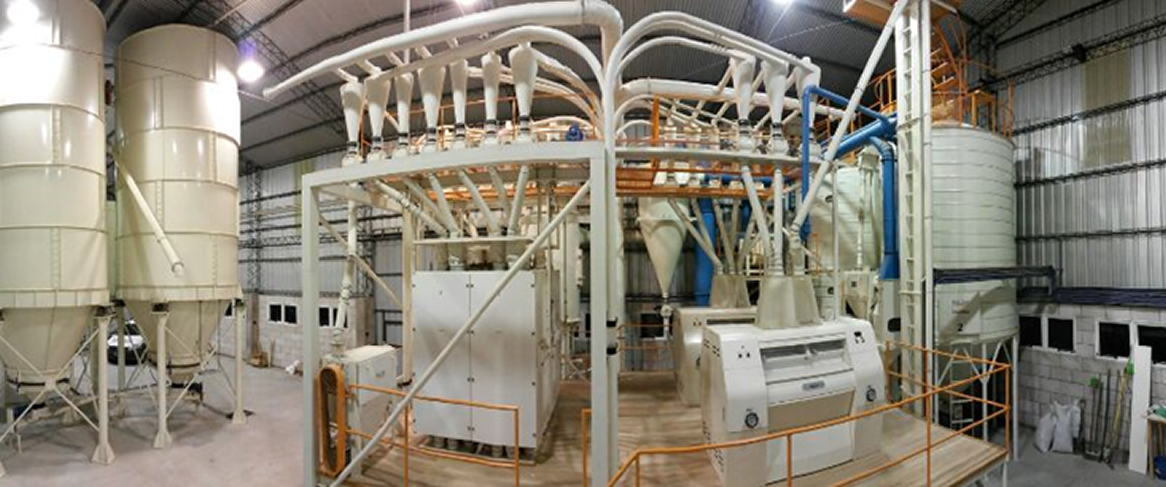 Línea Semi Industrial