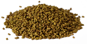 foto-cereal-alfalfa - AGMILLER