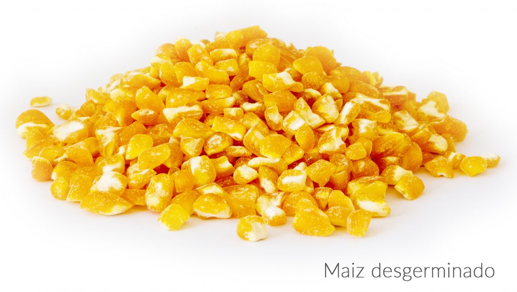 maizdesgerminado - AGMILLER